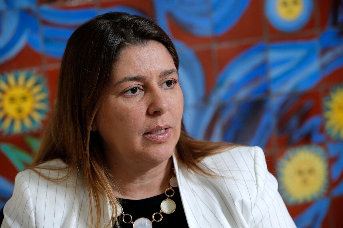 Setena, un embudo del desarrollo que quiere digitalizarse para asumir ...