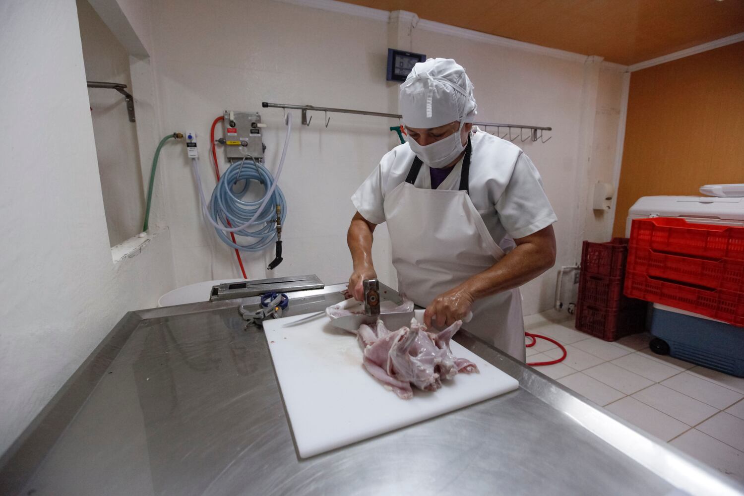 Rabbits de Costa Rica es una de las empresas que apostó por producir y ...