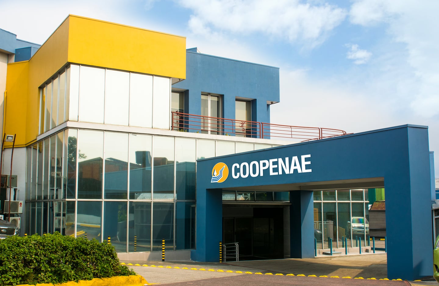 ¿Cuándo se devuelve el capital social de una cooperativa? Proceso puede ...